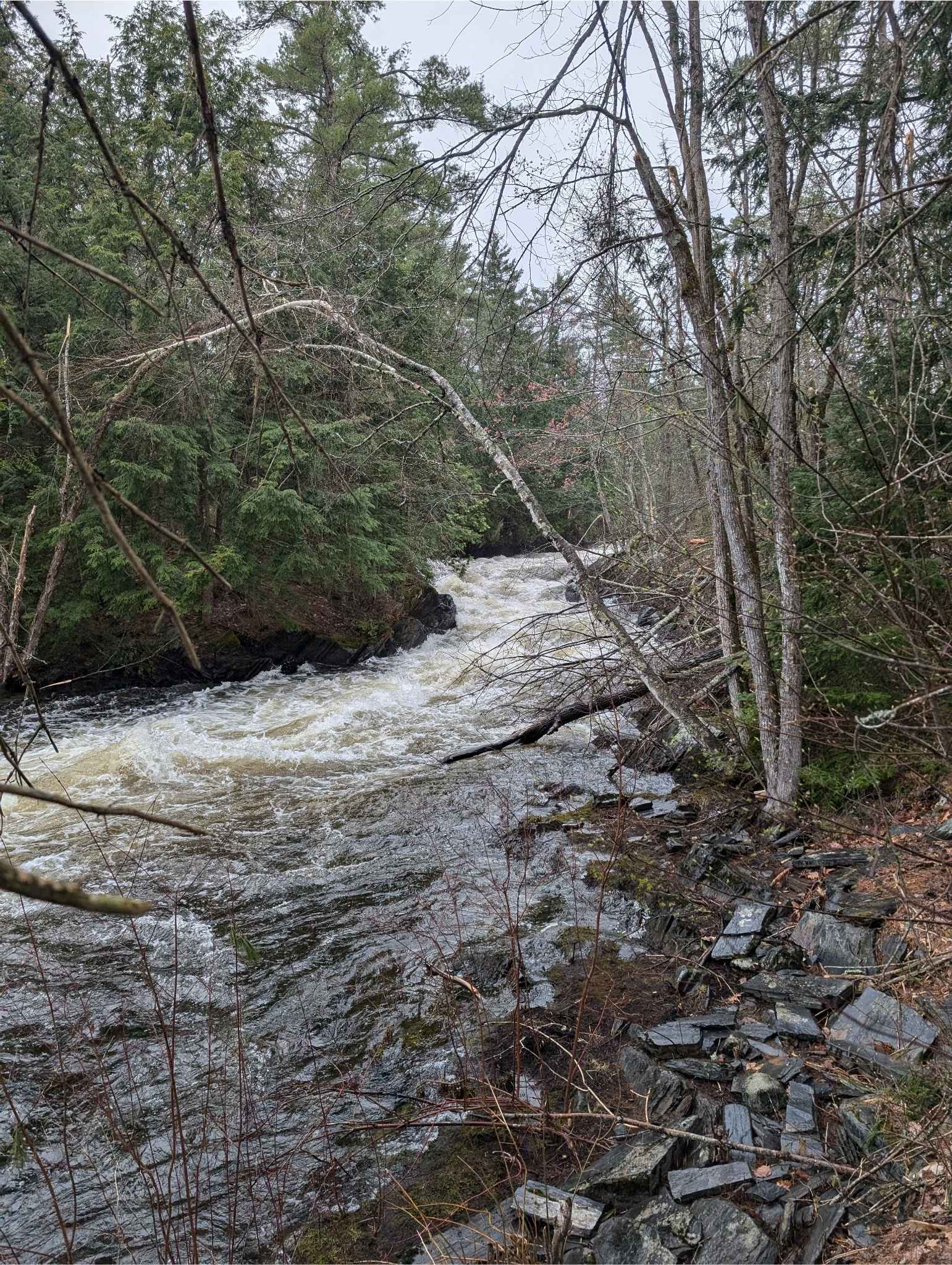 Crowe River – Ontario Conservation Accelerator